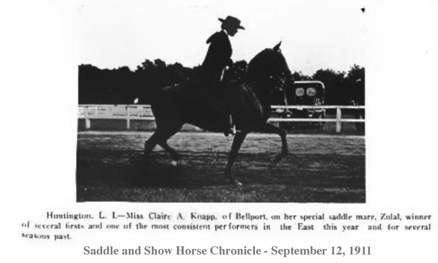 ZULAL AND CLAIRE KNAPP'S HORSES